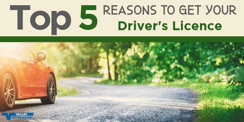 Top 5 Reasons to Get Your Driver's Licence - Valley Driving School