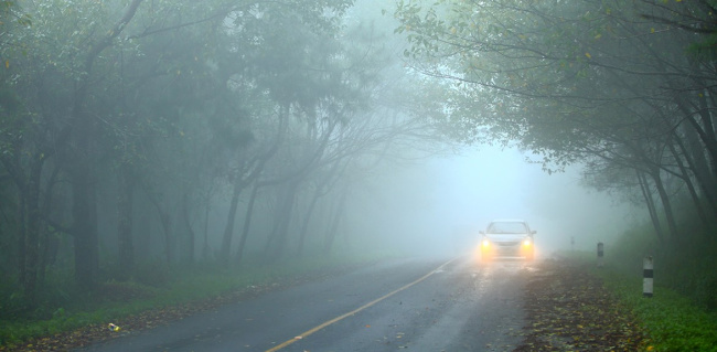 Drivers Guide to Fog Lights - Valley Driving School