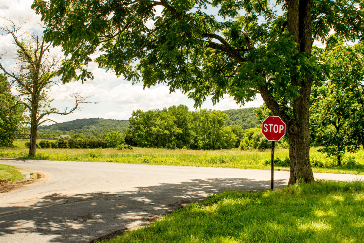 Driving in BC: Urban vs Rural Areas